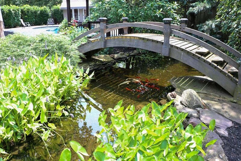 4 things to consider for your Philadelphia Fish Pond - AquaReale | Koi ...
